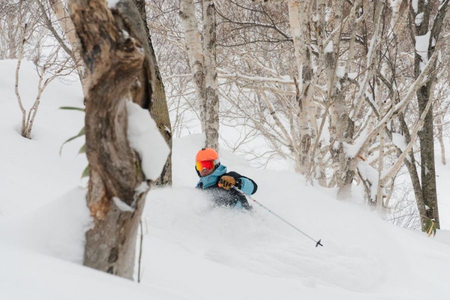 Niseko’s Backcountry Gates - The Worst Kept Secret In Skiing - Sea And ...